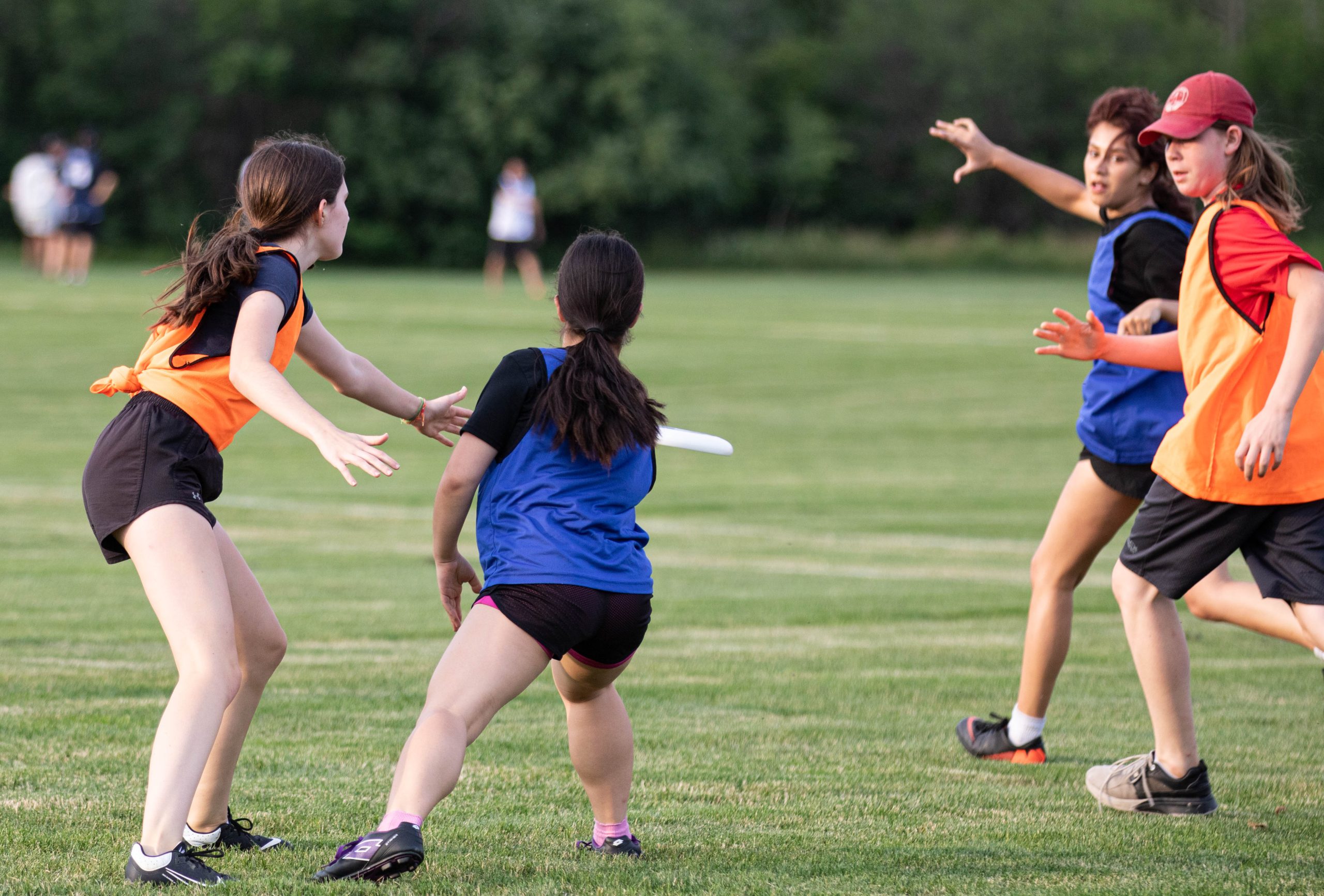 Home - Waterloo Organization of Disc Sports